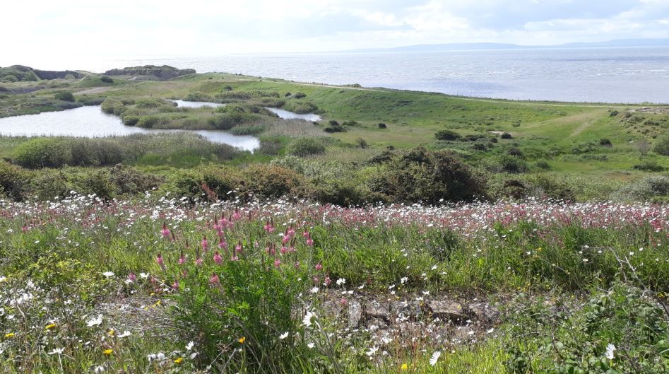 Rhoose Cardiff International Airport – Cardiff Capers