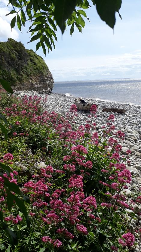 Rhoose Cardiff International Airport – Cardiff Capers